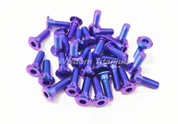 Titanium Low-Profile Disc Rotor Bolts Geometry and Installation ...