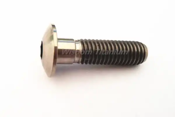 What size titanium bolts to remove a brake rotor?